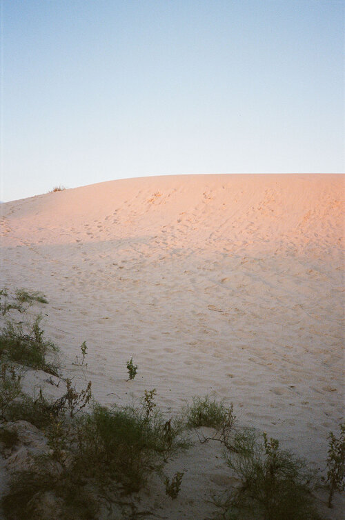 Alison Hilsey - Creative Director